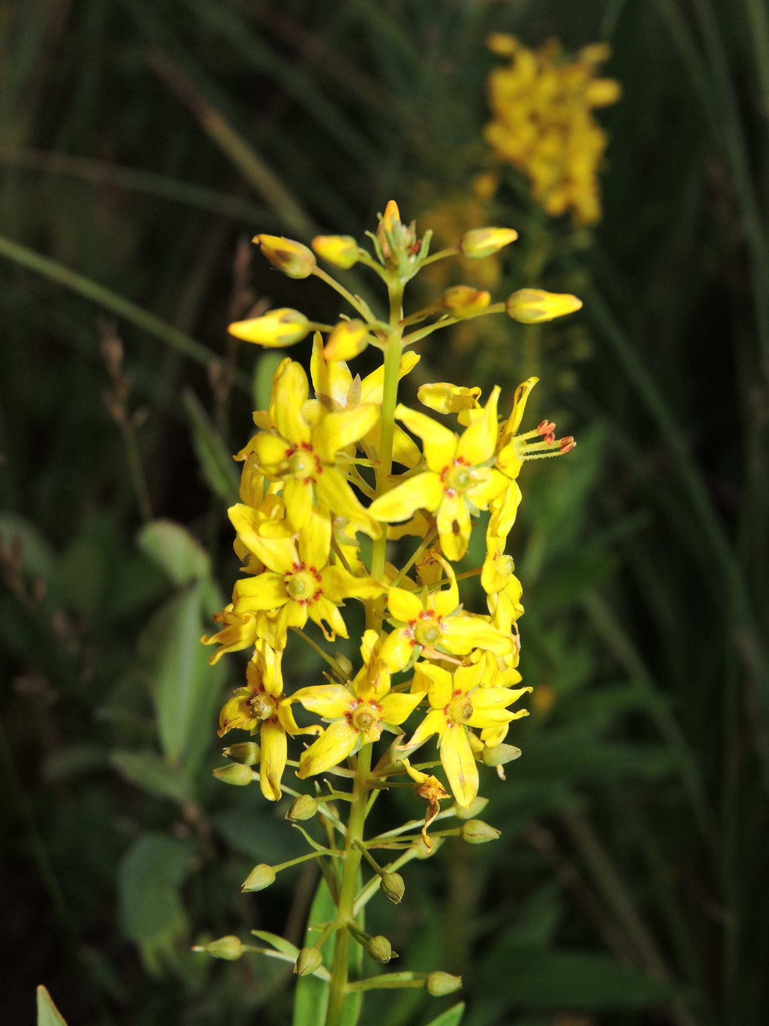 What to do when you lose power during a thunderstorm? – Michael's Place
