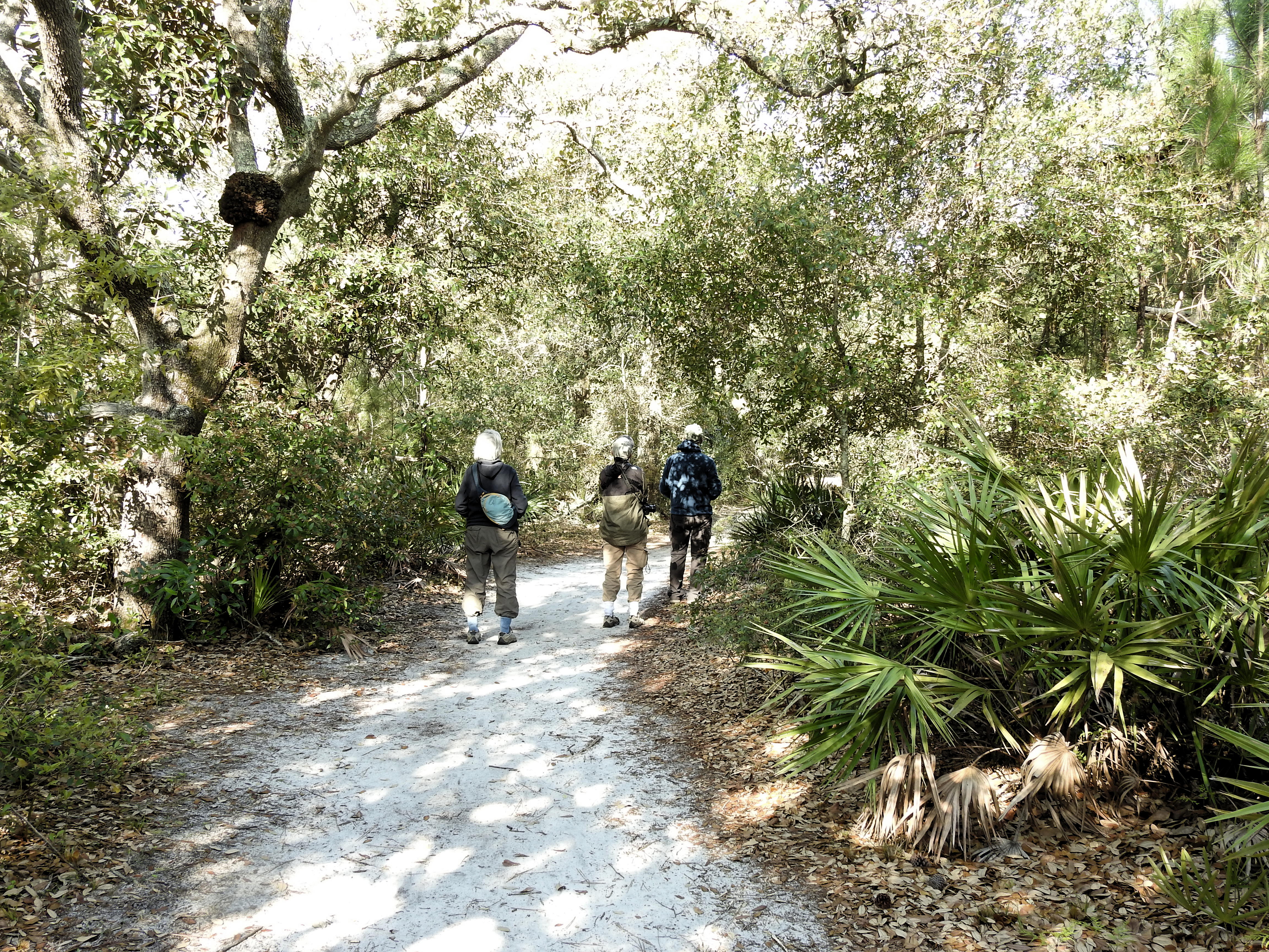 Day-26: Audubon Sanctuary, Dauphin Island, Alabama – Michael's Place