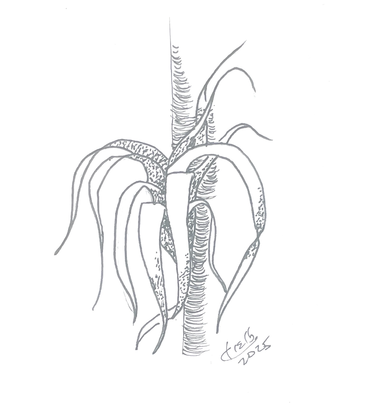 Some drawings I did earlier this year – Michael's Place