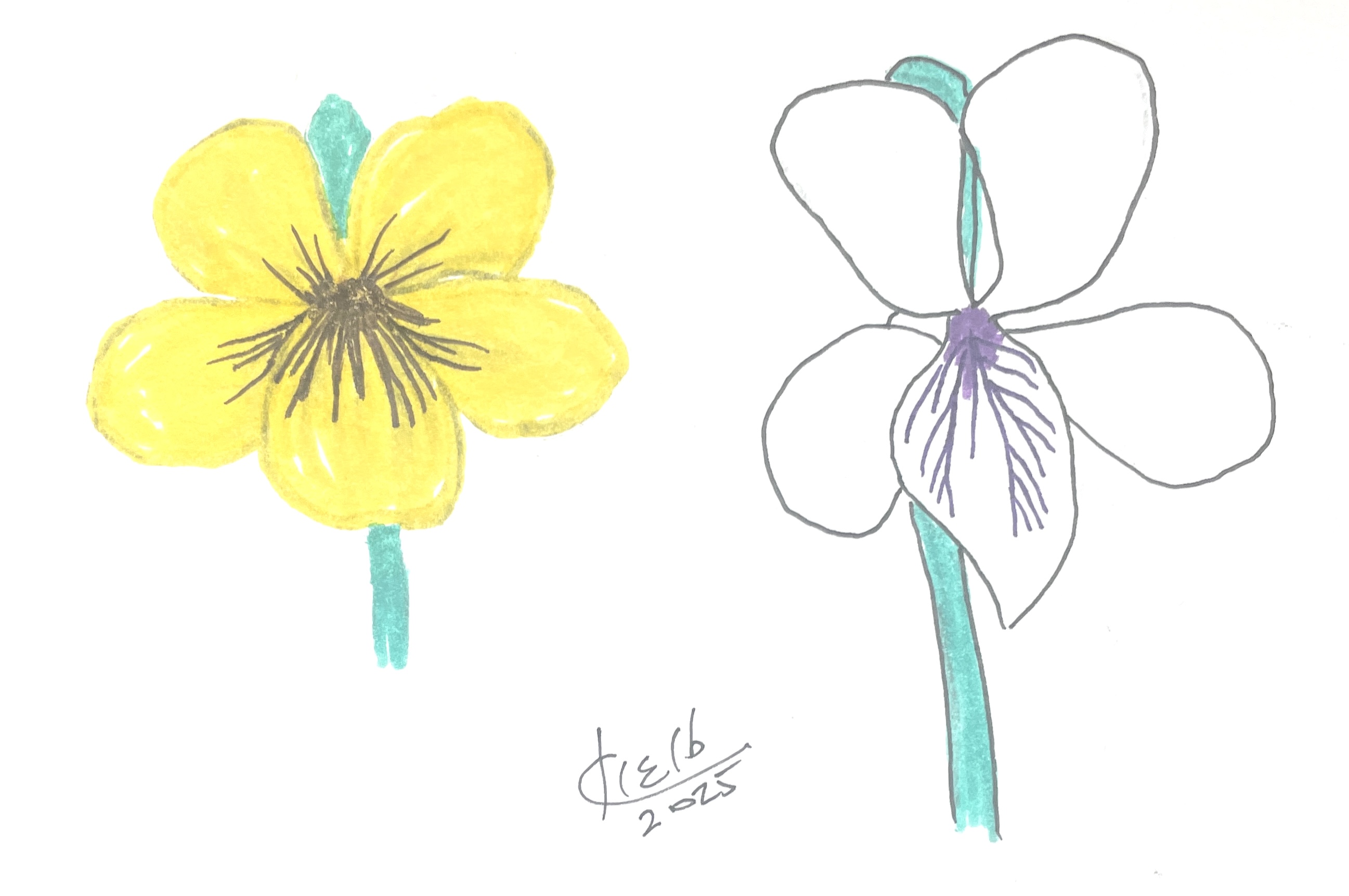 Some drawings I did earlier this year – Michael's Place