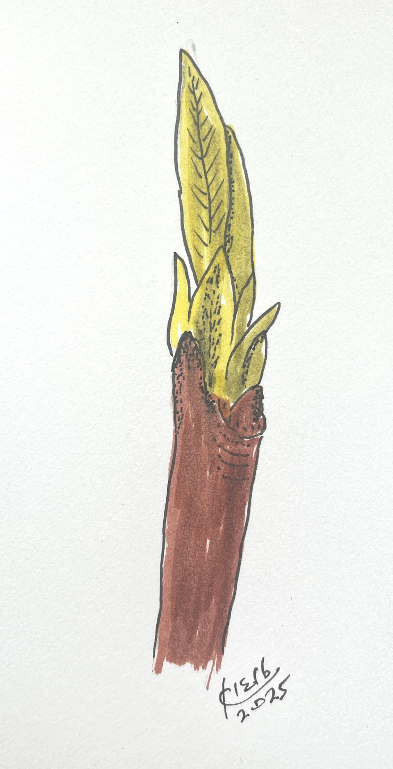 Some drawings I did earlier this year – Michael's Place