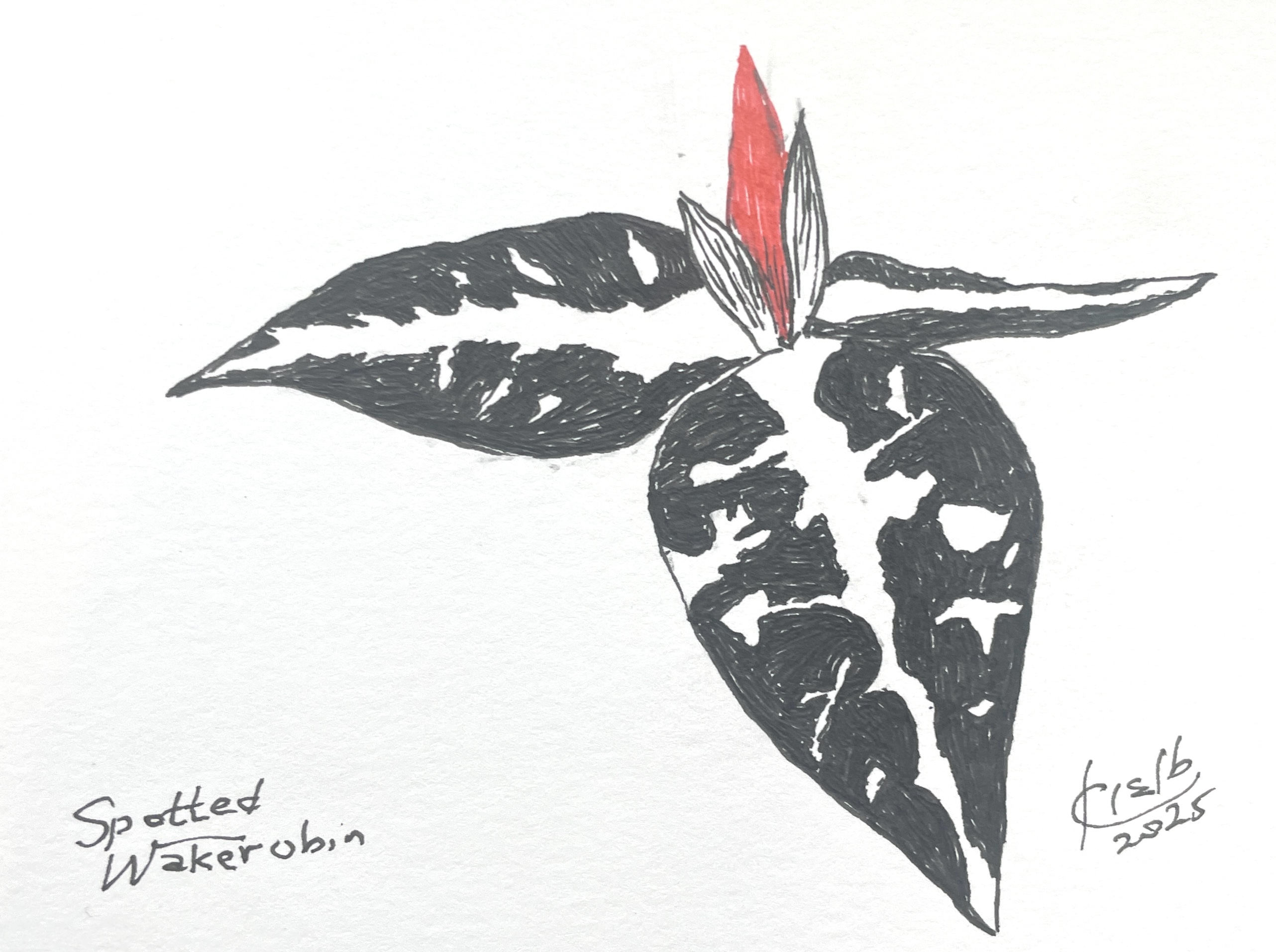 Some drawings I did earlier this year – Michael's Place